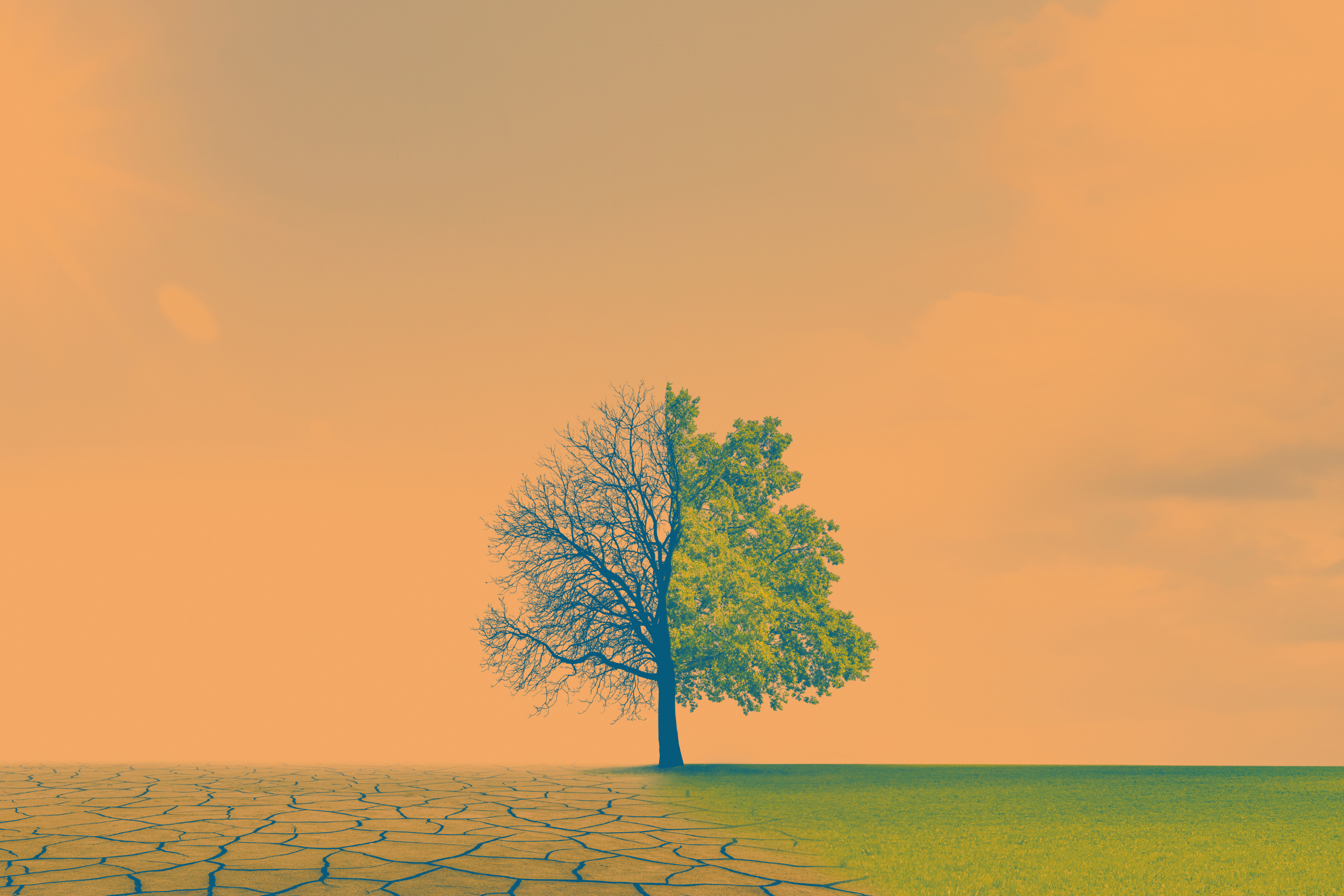 IRISCC Project Has Officially Started - IRISCC