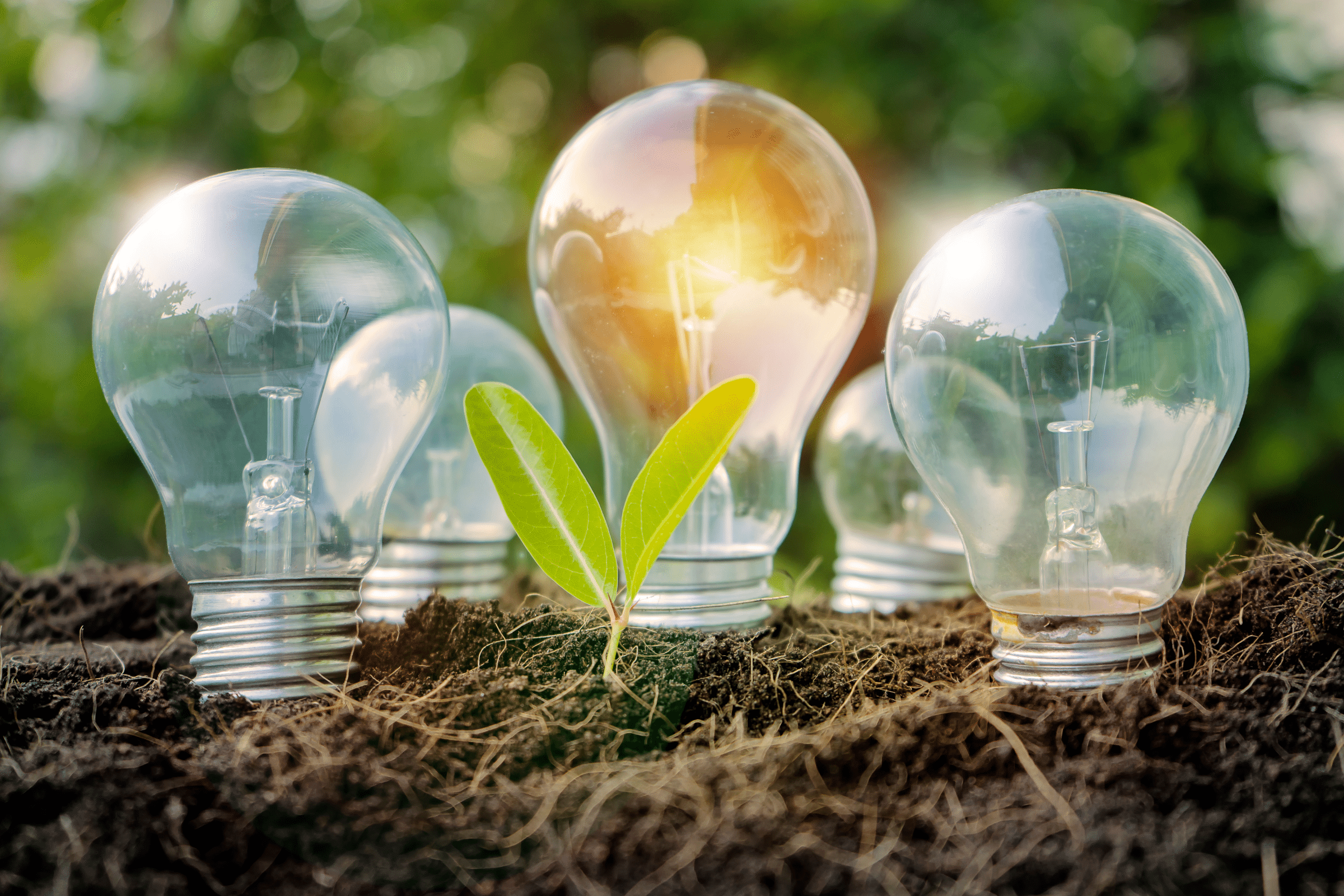 Catalogue of Services - IRISCC